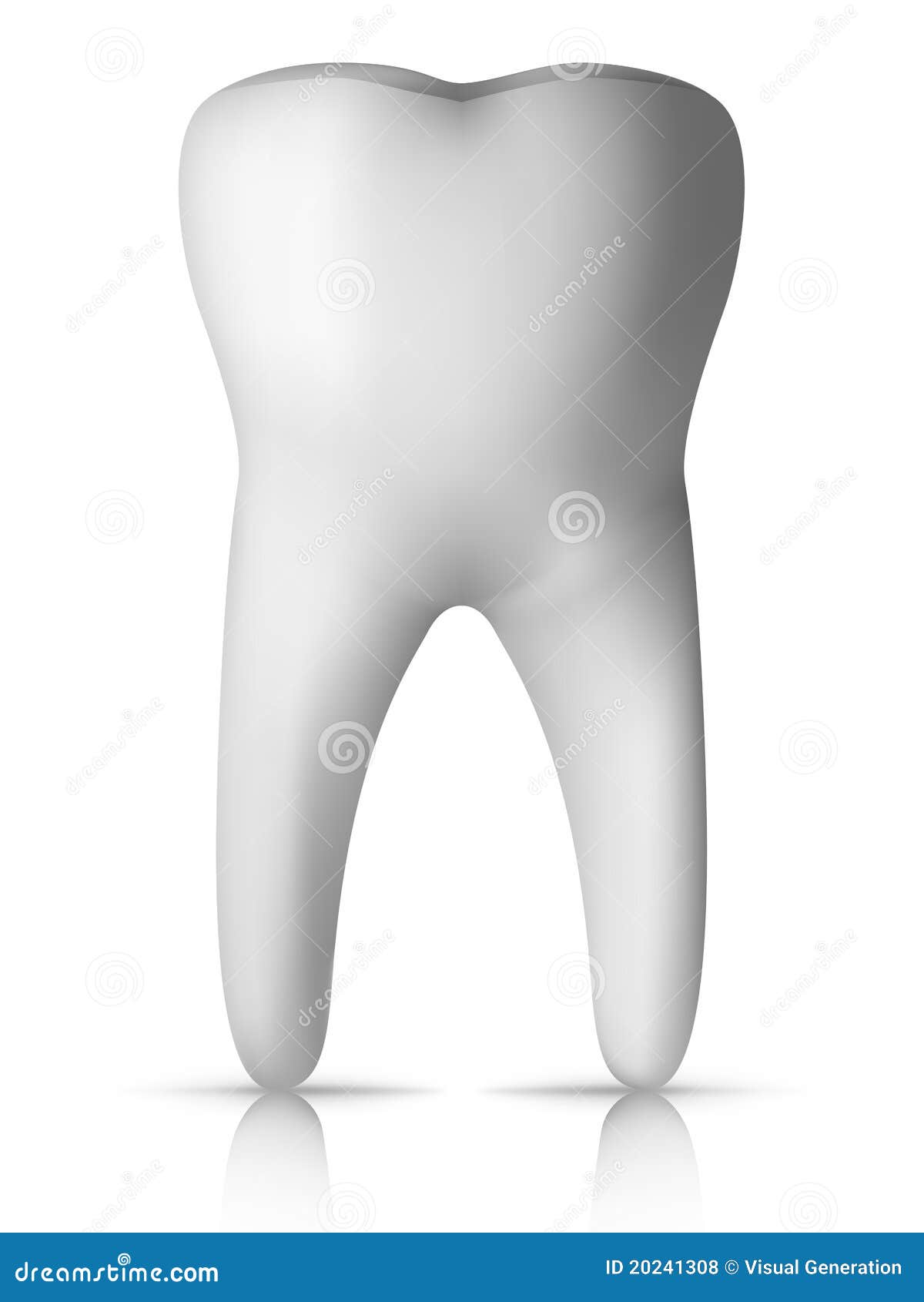 Molar Tooth stock vector. Illustration of anatomy, mouth - 20241308