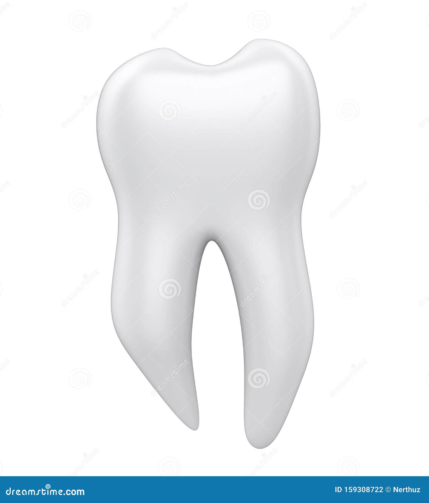 Molar Tooth Isolated stock illustration. Illustration of cavity - 159308722