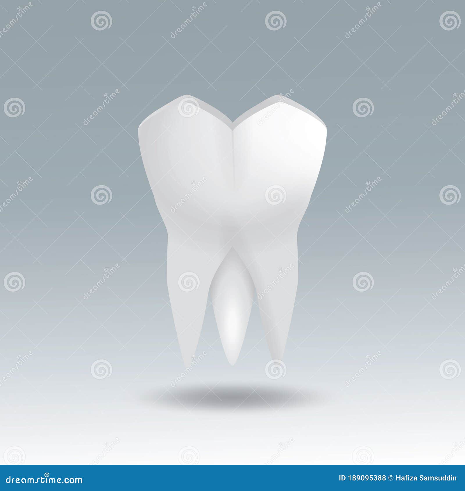 Molar Tooth. Vector Illustration Decorative Design Stock Vector ...