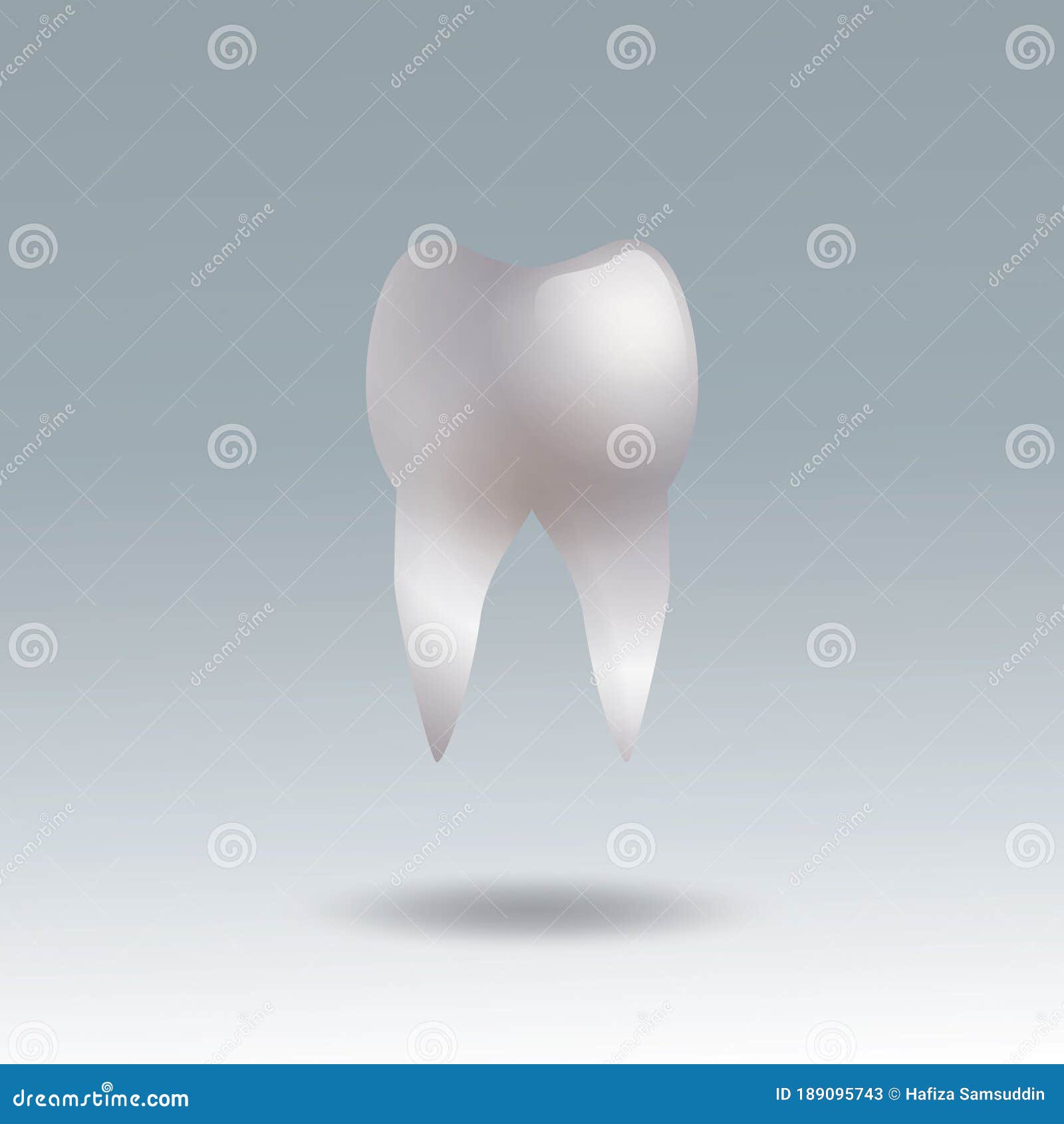 Molar Tooth. Vector Illustration Decorative Design Stock Vector ...