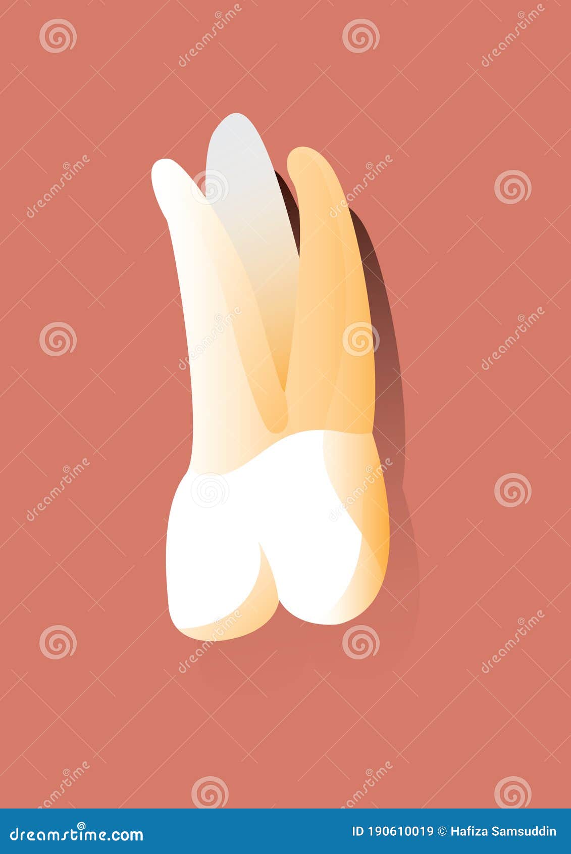 Molar Tooth. Vector Illustration Decorative Design Stock Vector ...