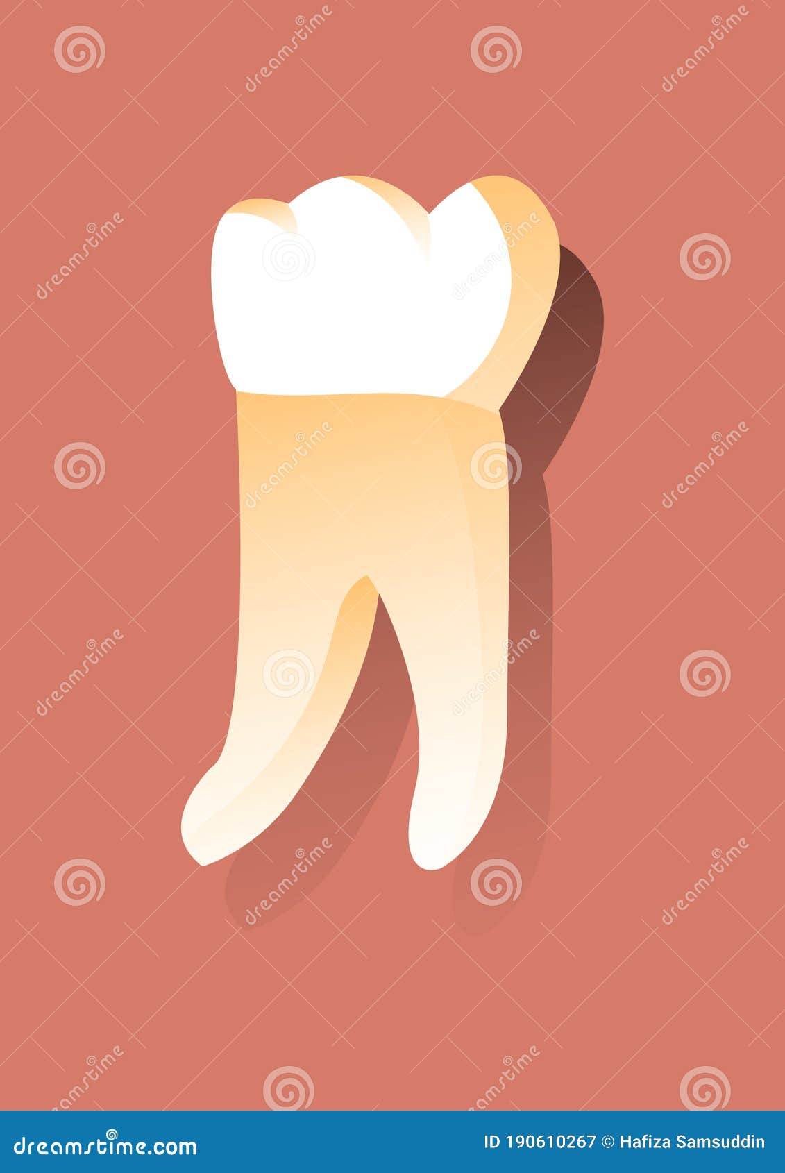 Molar Tooth. Vector Illustration Decorative Design Stock Vector ...