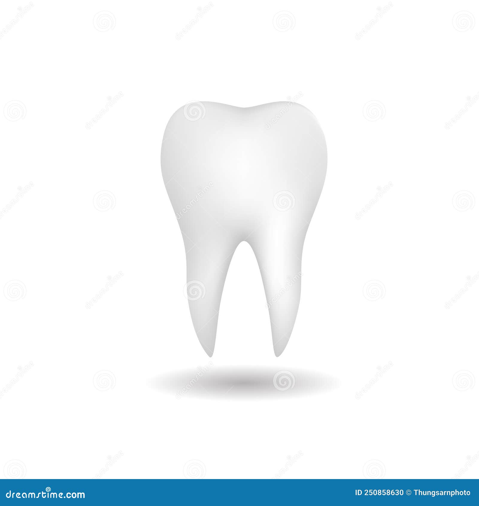 Molar Tooth on White Background Stock Illustration - Illustration of ...