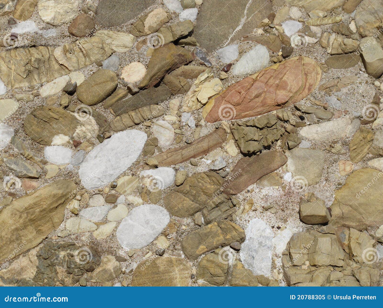 Molasse stock image. Image of nature, seldom, rock, switzerland - 20788305