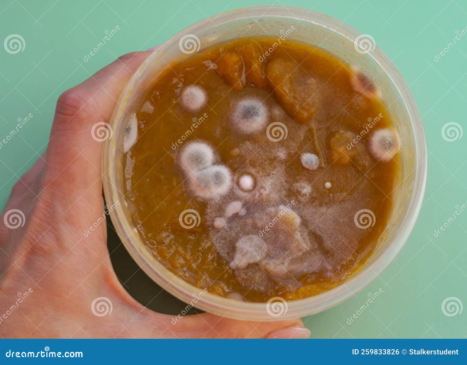 Mold on Apple Jam in the Hands of a Young Girl. Stock Photo - Image of ...