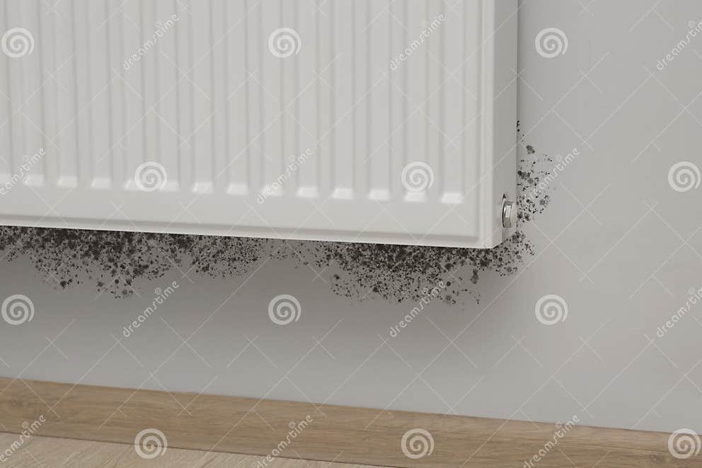 Mold Around Panel Radiator on Wall in Room Stock Photo - Image of ...