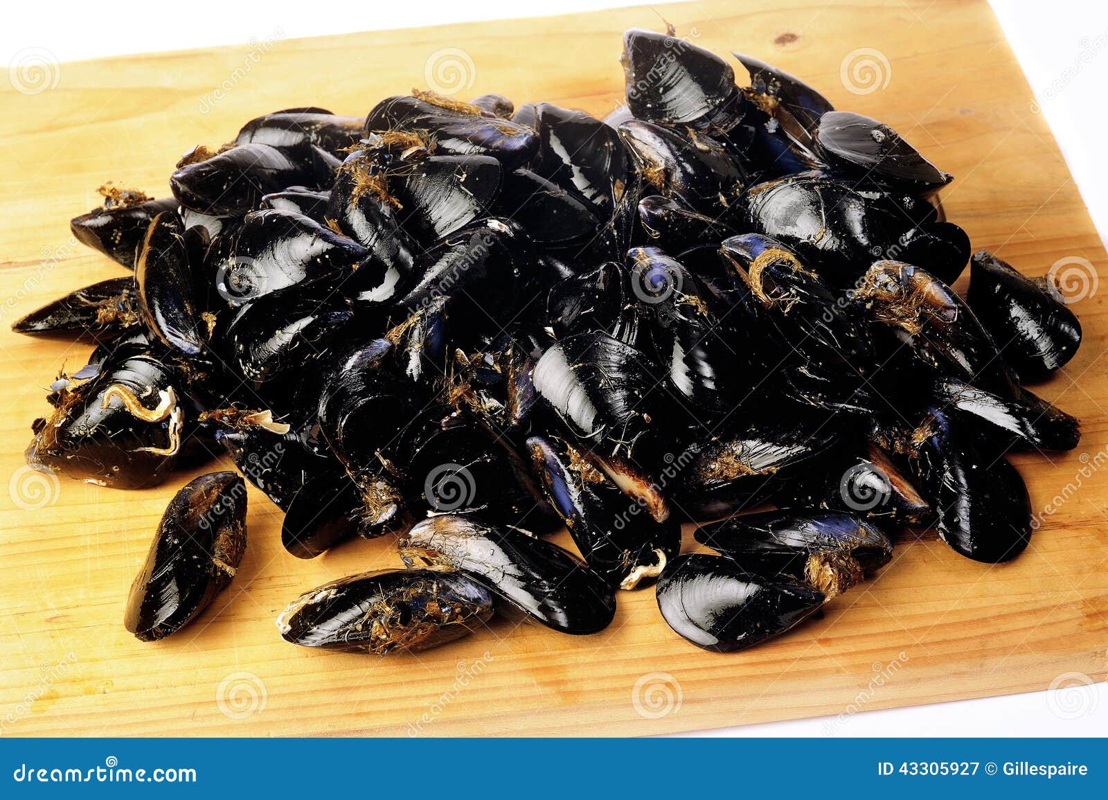 A mold assembly stock image. Image of mussels, crustacean - 43305927