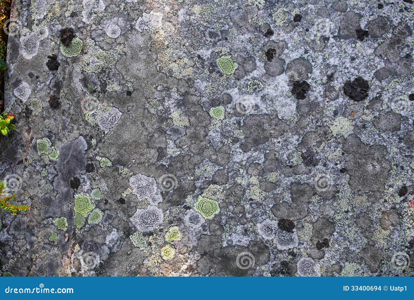 Mold stock photo. Image of material, rock, spotted, lichen - 33400694
