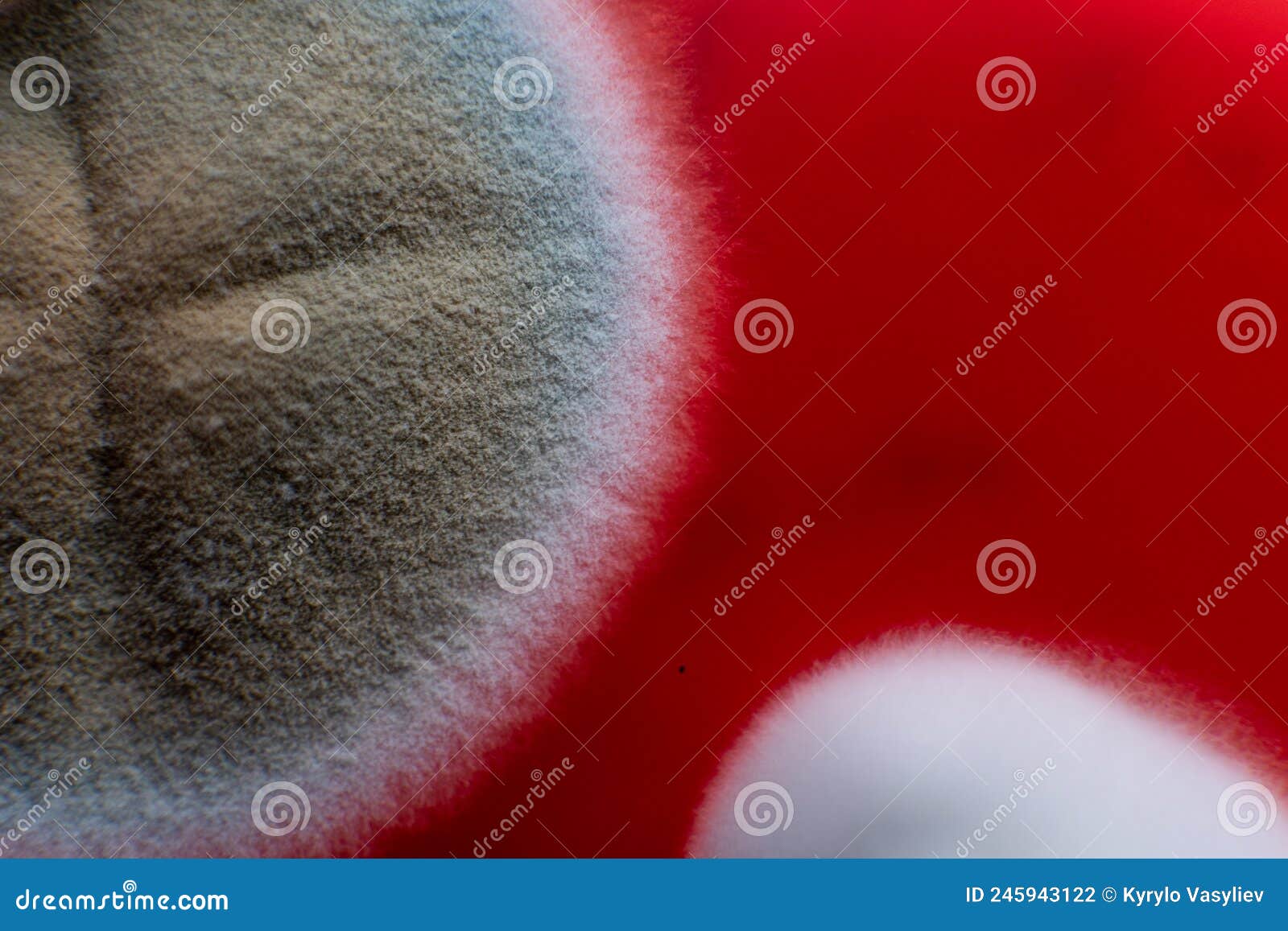 Mold and Bacteria on Red Agar. Agar Medium for Pathogens. Mold Spores ...
