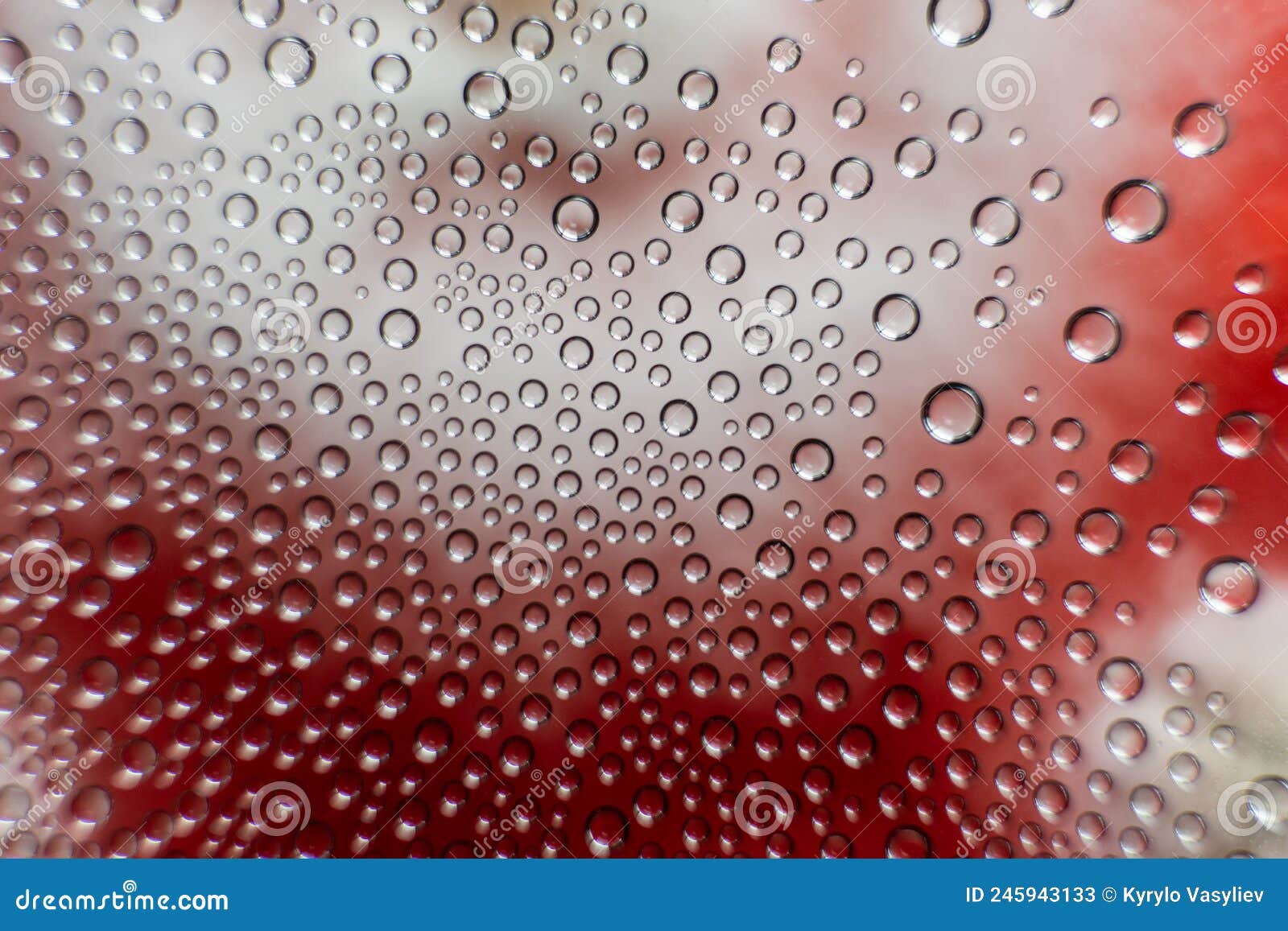 Mold and Bacteria on Red Agar. Agar Medium for Pathogens. Mold Spores ...