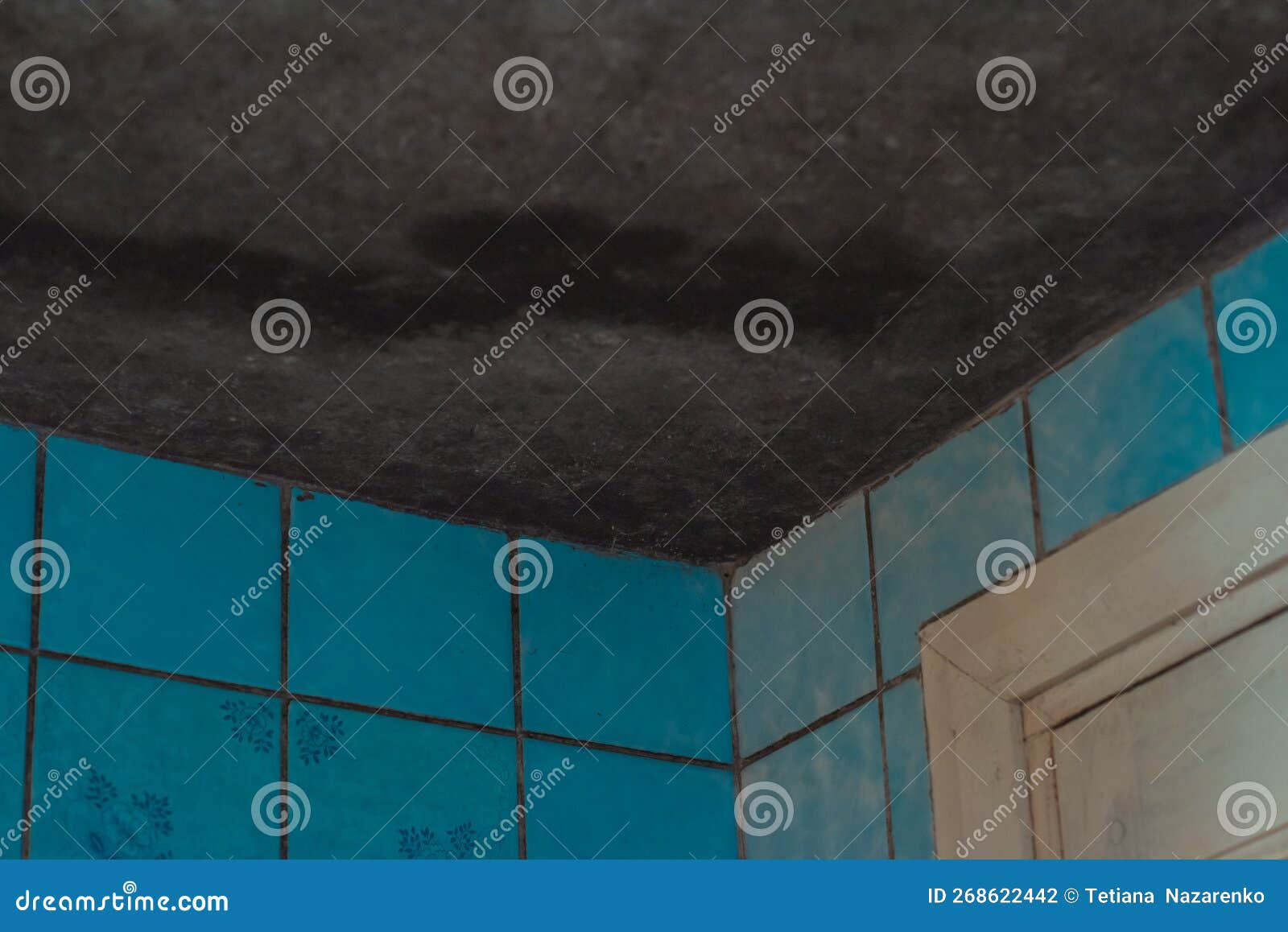 Mold on the Bathroom Wall, Uncleaning Stock Photo - Image of product ...