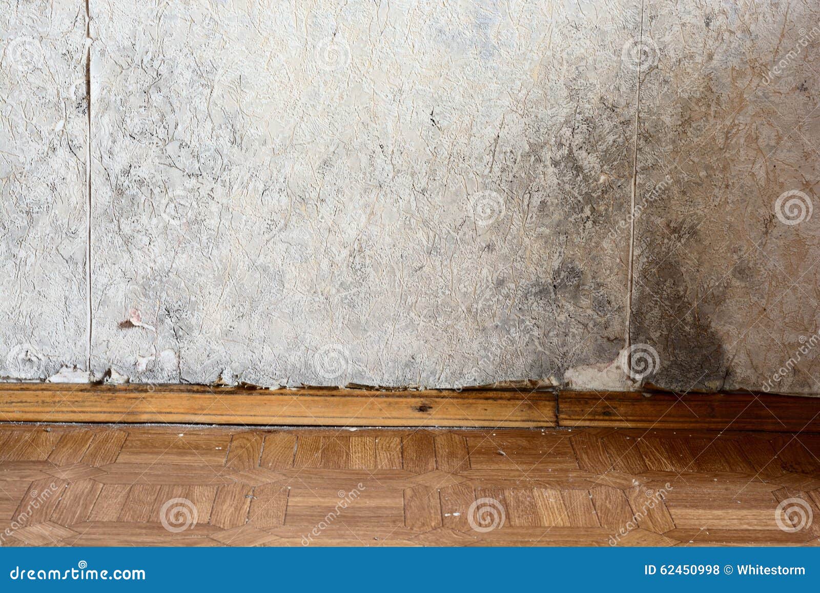 125 Mold Buildup Photos - Free & Royalty-Free Stock Photos from Dreamstime