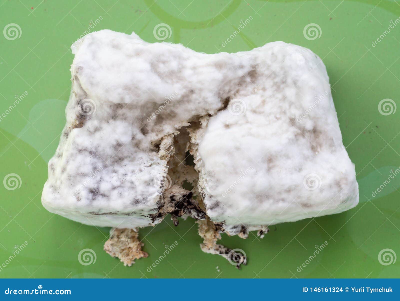 Mold on Bread. Black Fungus. Macro Photo. Selective Focus. View from ...