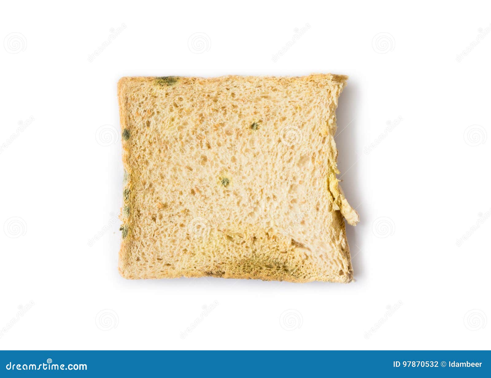 Mold bread stock photo. Image of bacteria, toxic, decay - 97870532