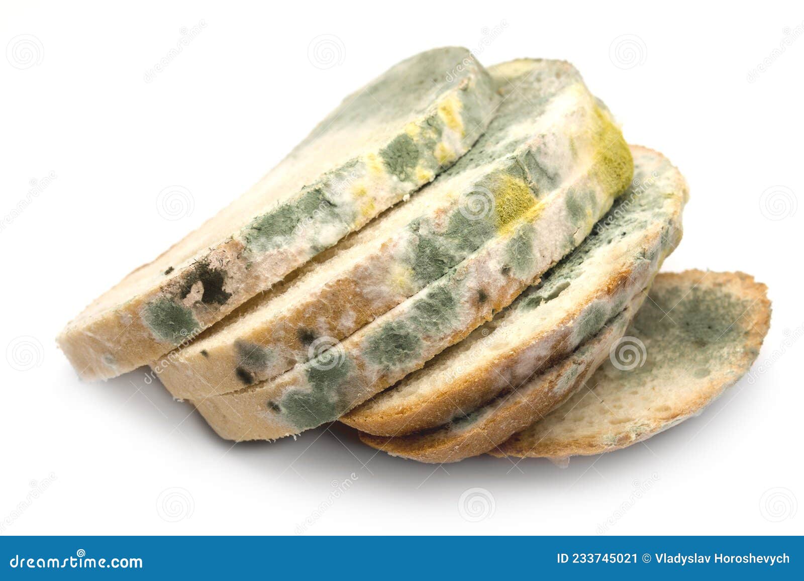 Mold on Bread Isolated on White Background Stock Image - Image of green ...