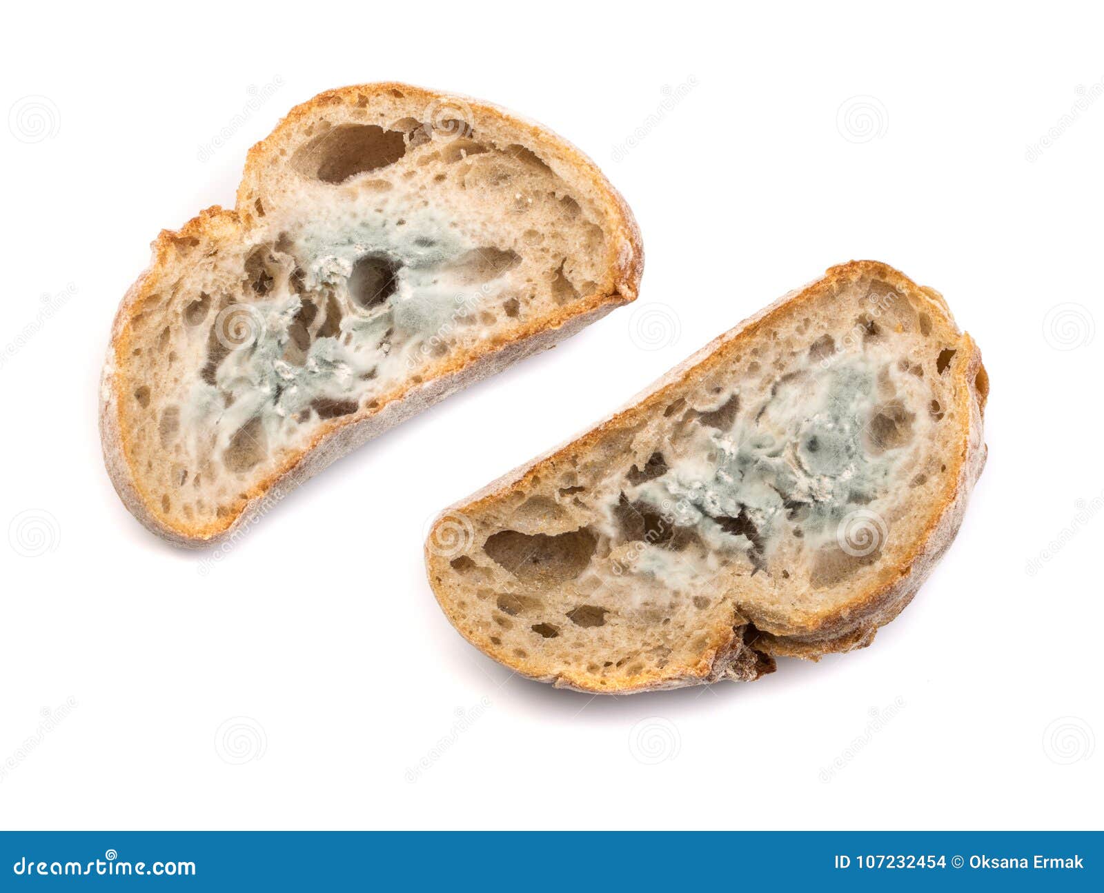 Mold on Bread Isolated stock photo. Image of rotten - 107232454