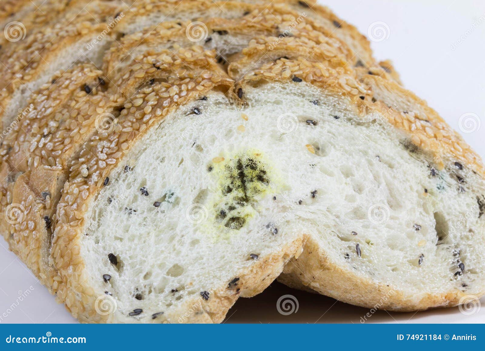 Mold on bread stock photo. Image of horizontal, health - 74921184
