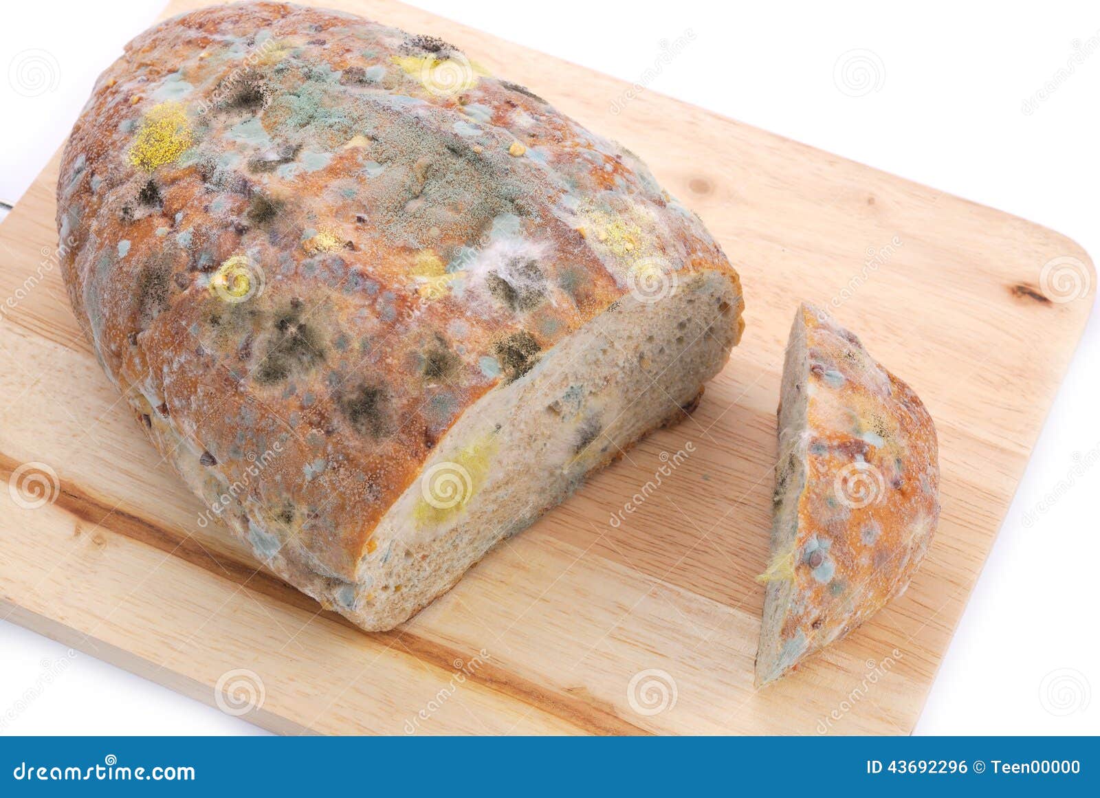 Mold on bread stock photo. Image of food, bacterium, horizontal - 43692296