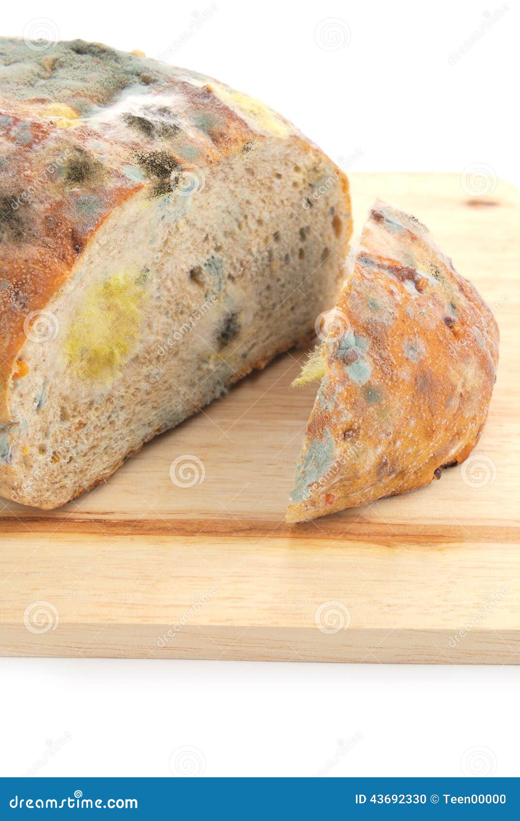 Mold on bread stock photo. Image of bacterium, unhygienic - 43692330
