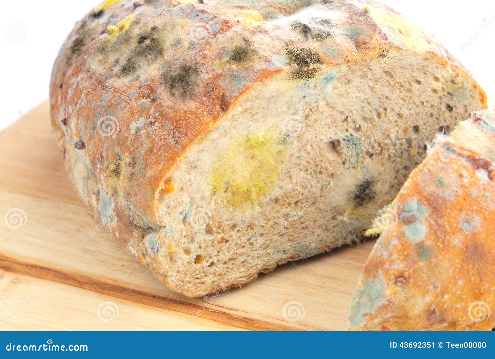 Mold on bread stock image. Image of mildew, baked, background - 43692351