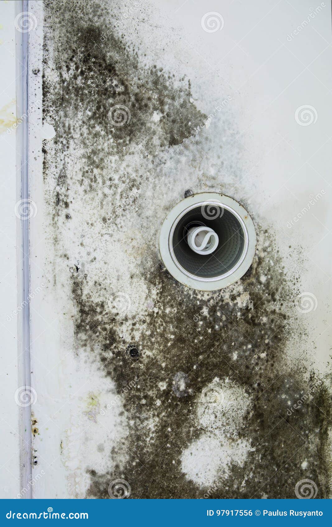 Mold in the ceiling stock photo. Image of close, leakage - 97917556