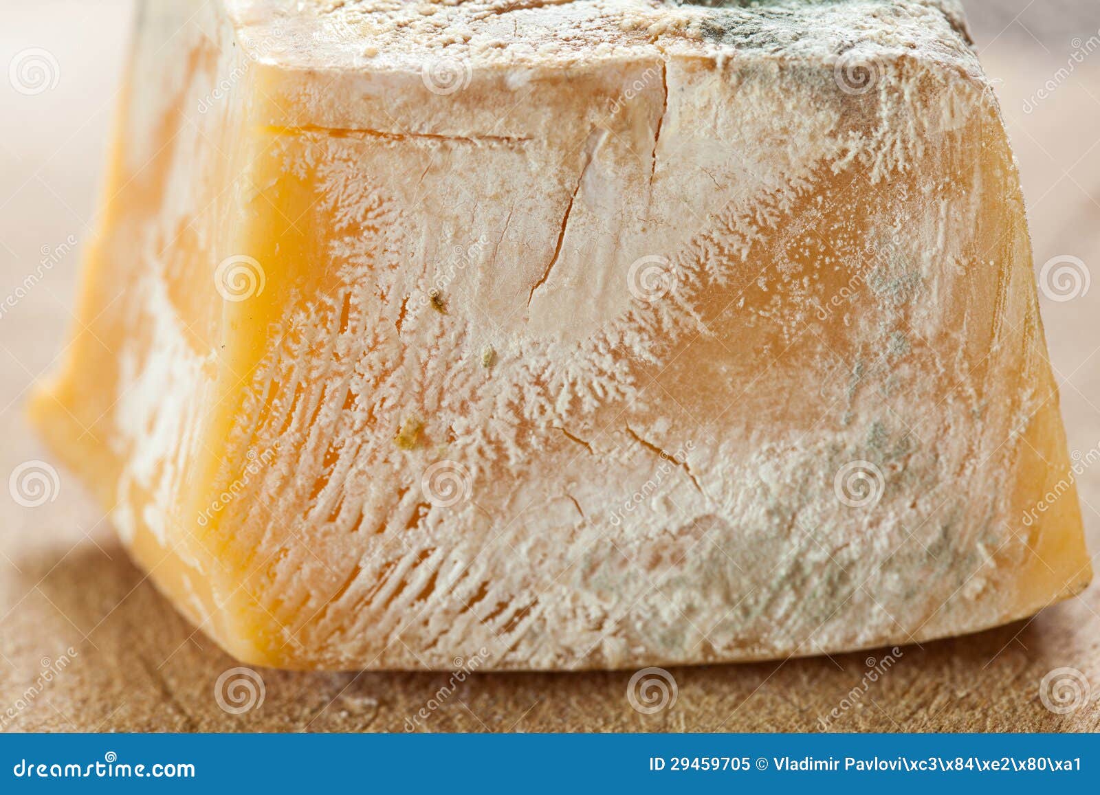 Mold on cheese stock image. Image of moldy, cuisine, closeup - 29459705