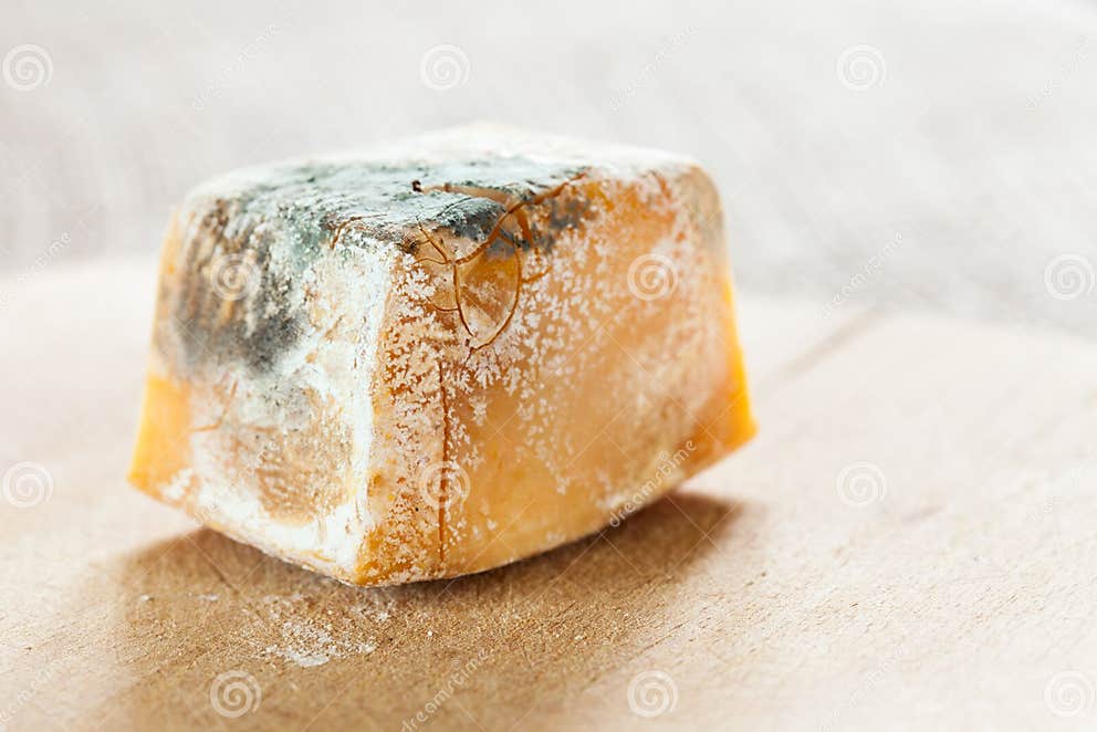 Mold on cheese stock photo. Image of mediterranean, aging - 29459746
