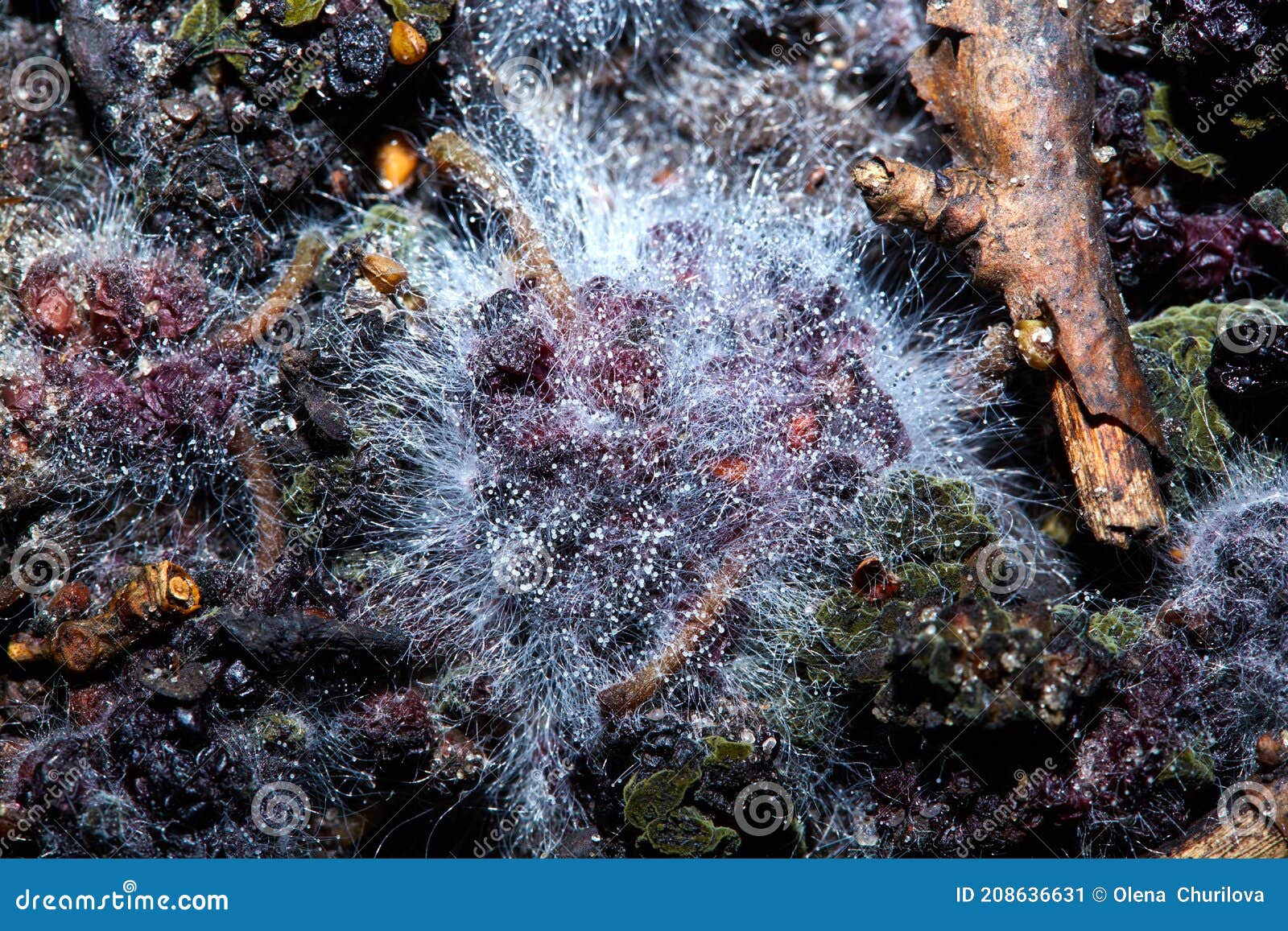 White Soil Drought Cracked Texture Royalty-Free Stock Photography ...