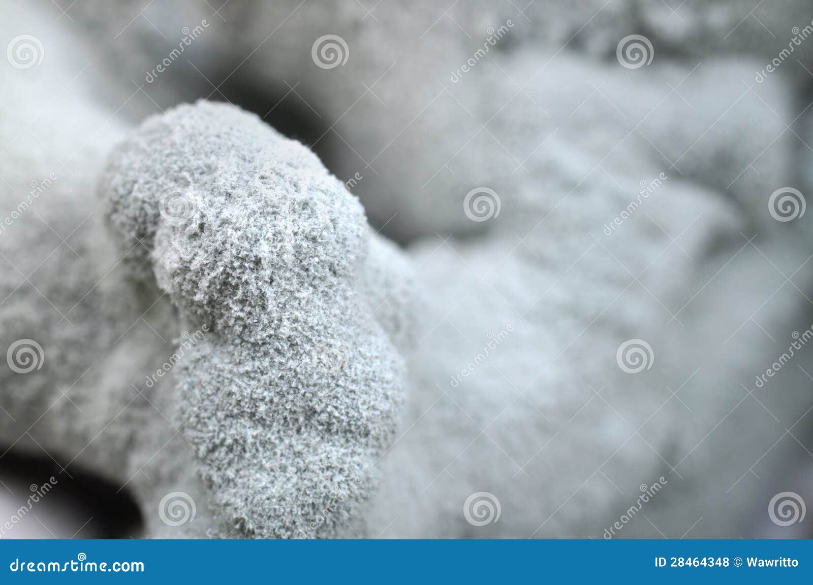 Mold closeup stock photo. Image of spore, mouldy, rotten - 28464348