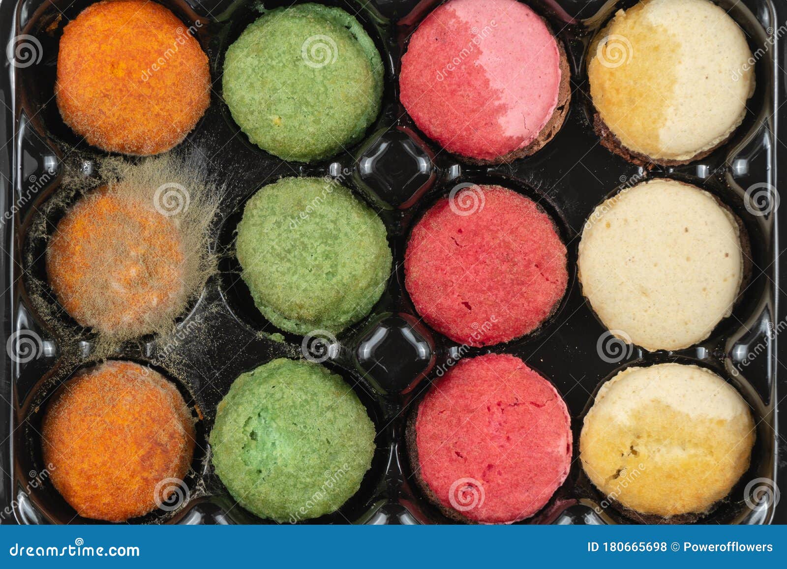 Mold on Cookies in Tray. Moldy, Expired Macarons Cookies Stock Photo ...