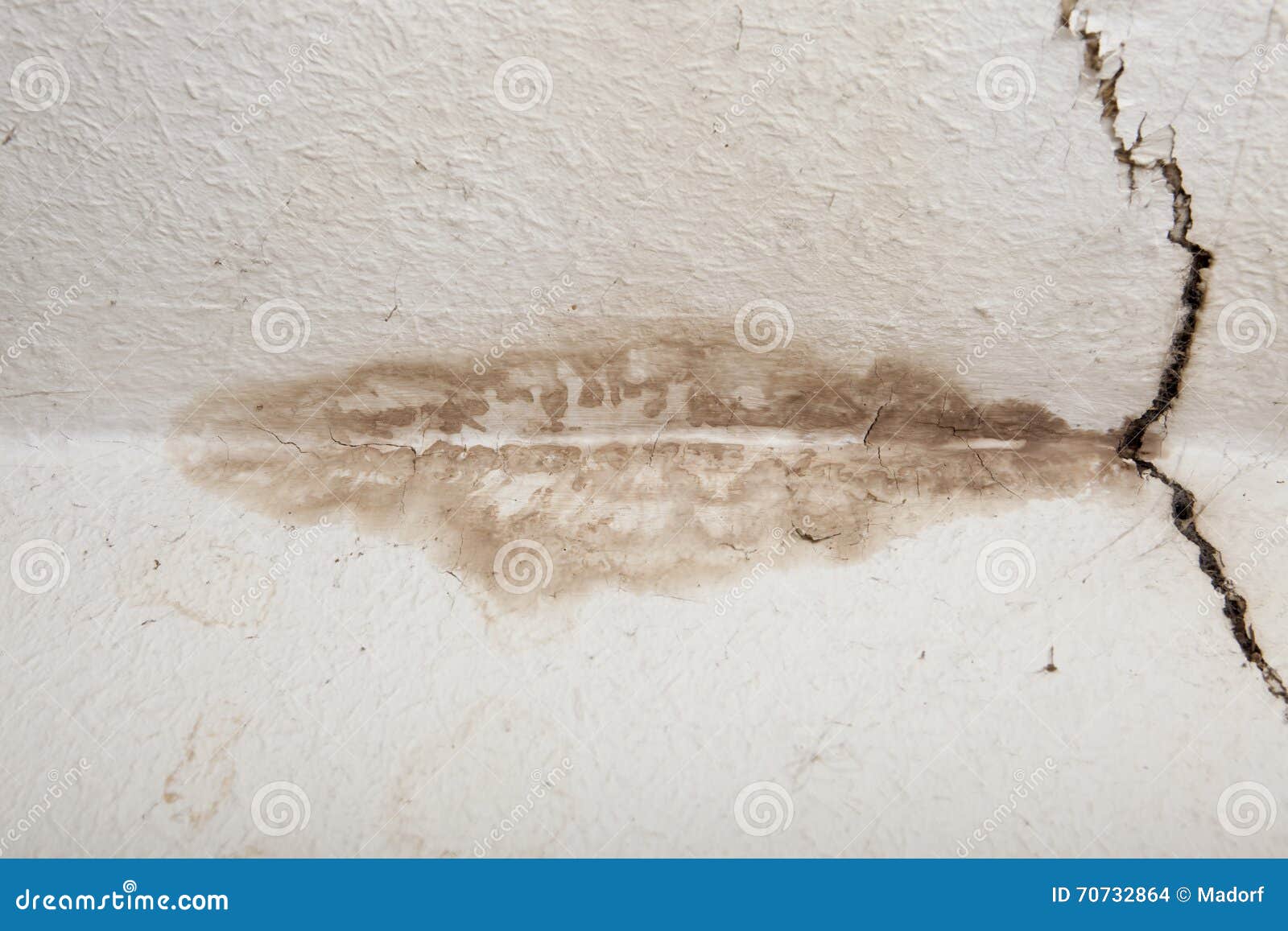 Mold in Corner of Cracked Ceiling in Old House Stock Photo - Image of ...