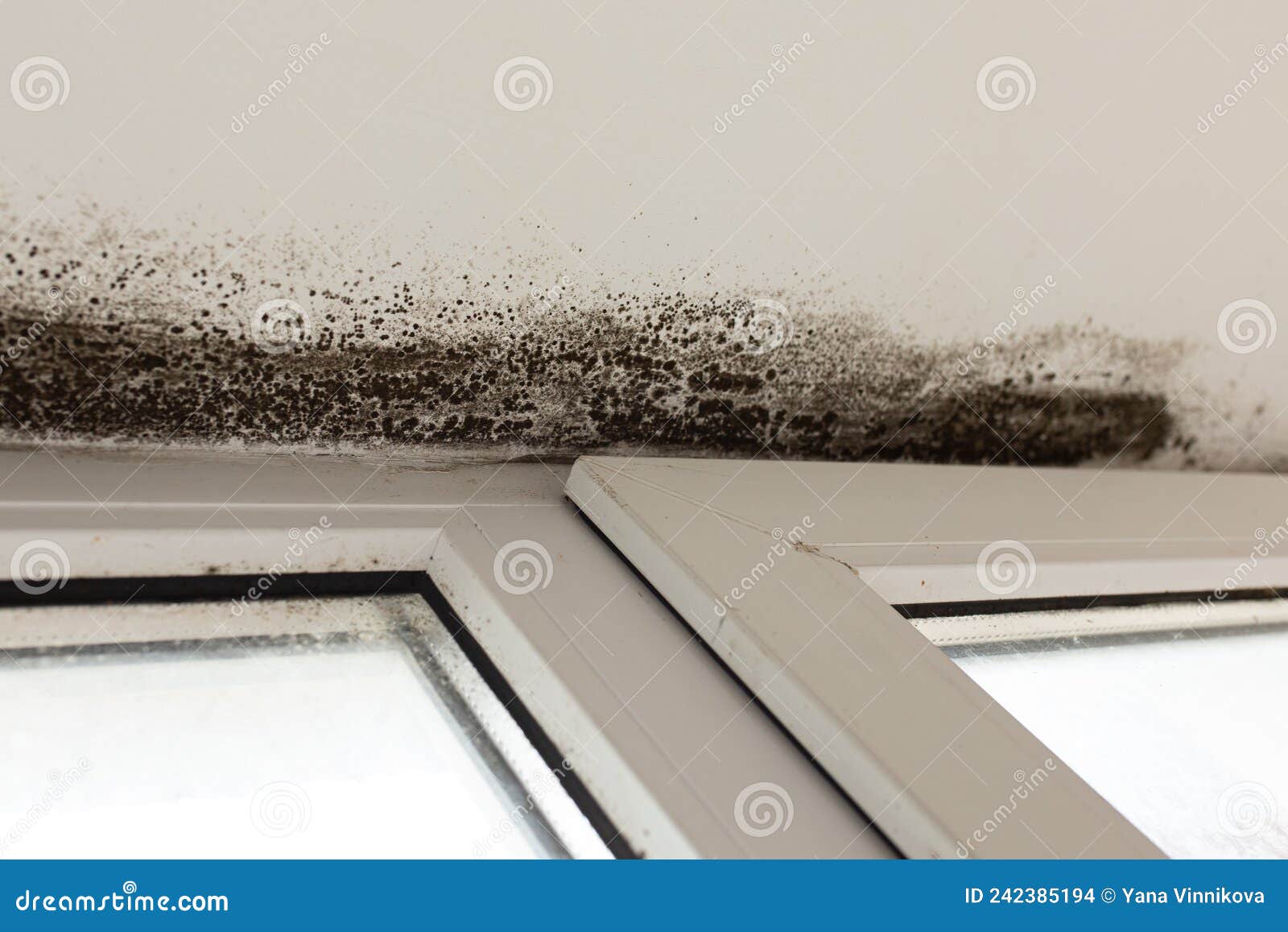 Mold in the Corner of the Plastic Windows Stock Photo - Image of ...