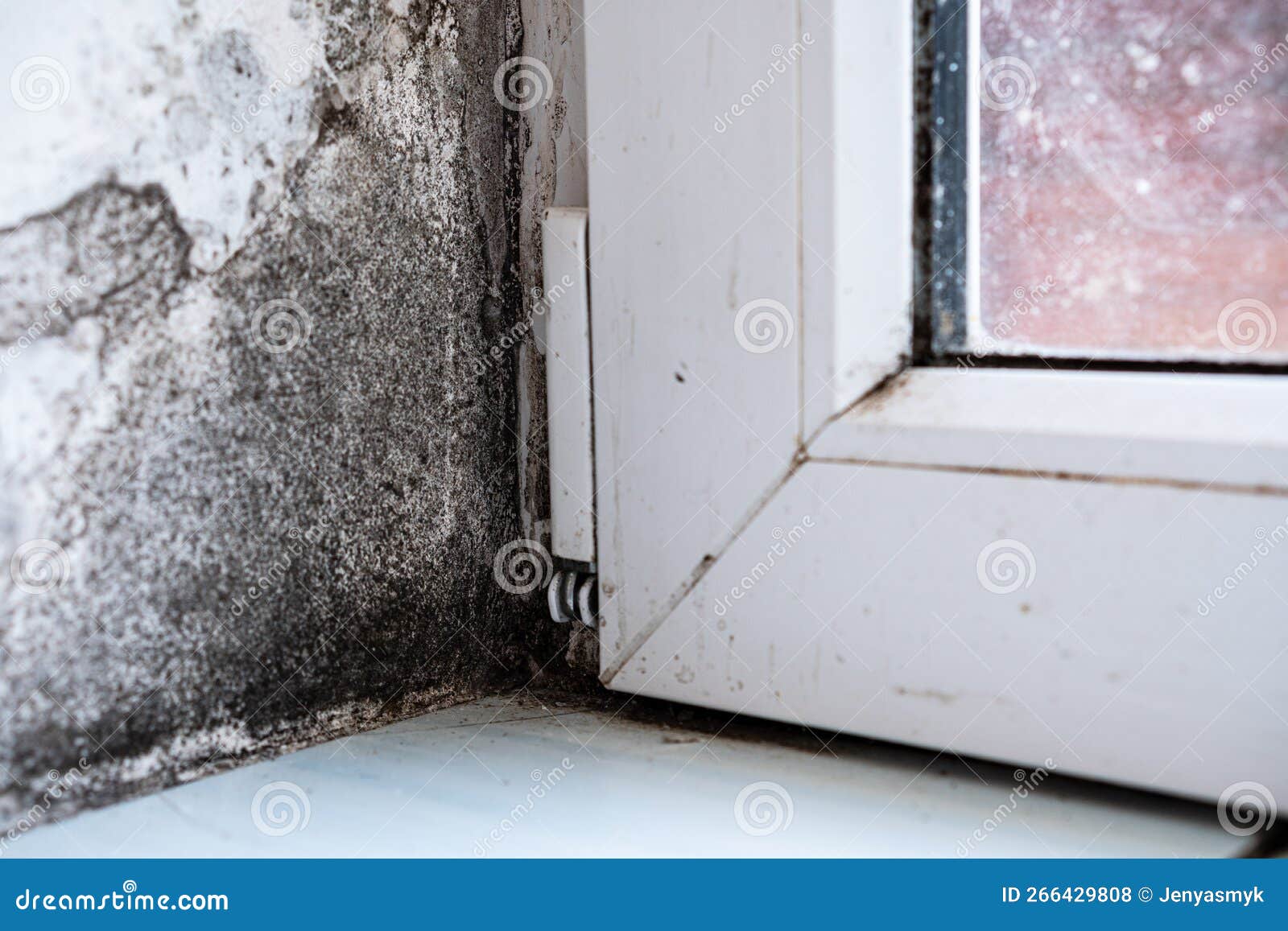 Mold in the Corner of the Plastics Doors, Windows. Mold is a Health ...
