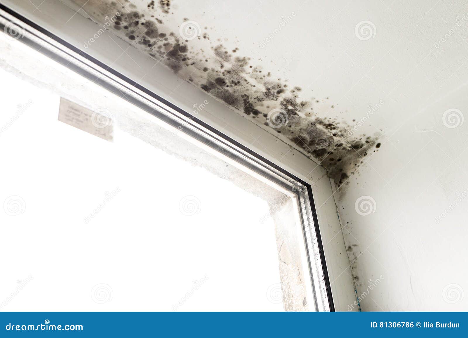 Mold in the Corner of the Window. Stock Photo - Image of aged, moss ...