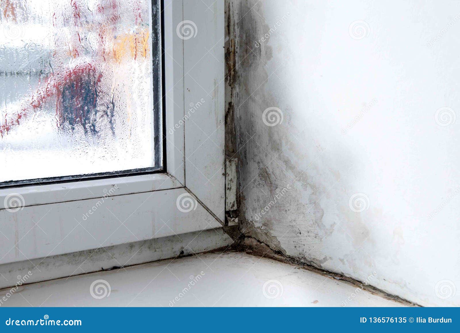 Mold in the Corner of the Window Stock Image - Image of growth, rental ...