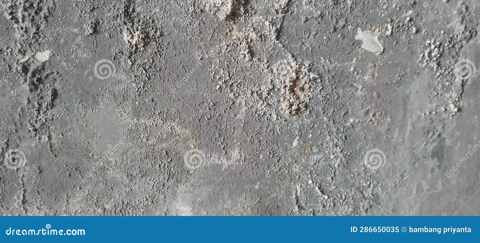 Mold on the Damp Walls Evenly Distributed Over the Entire Surface ...