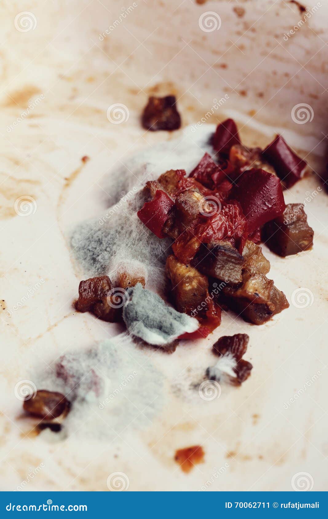 Disgusting Mold. Spoiled Product. Fungus Formation. Microbes And ...