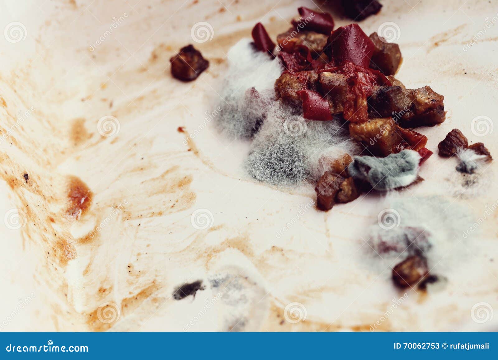 Disgusting Mold. Spoiled Product. Fungus Formation. Microbes And ...
