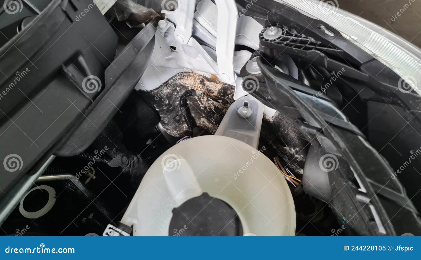 Mold in the Engine Compartment of an RV Stock Image - Image of injector ...