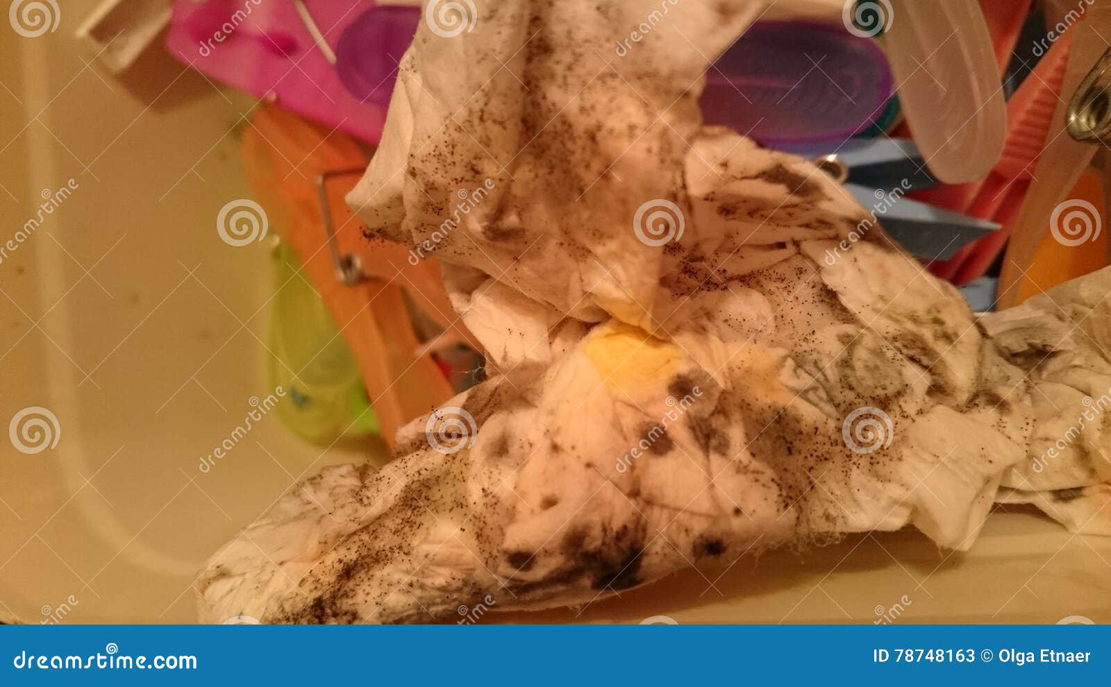 Mold on fabric stock image. Image of fabric, fungus, mold - 78748163