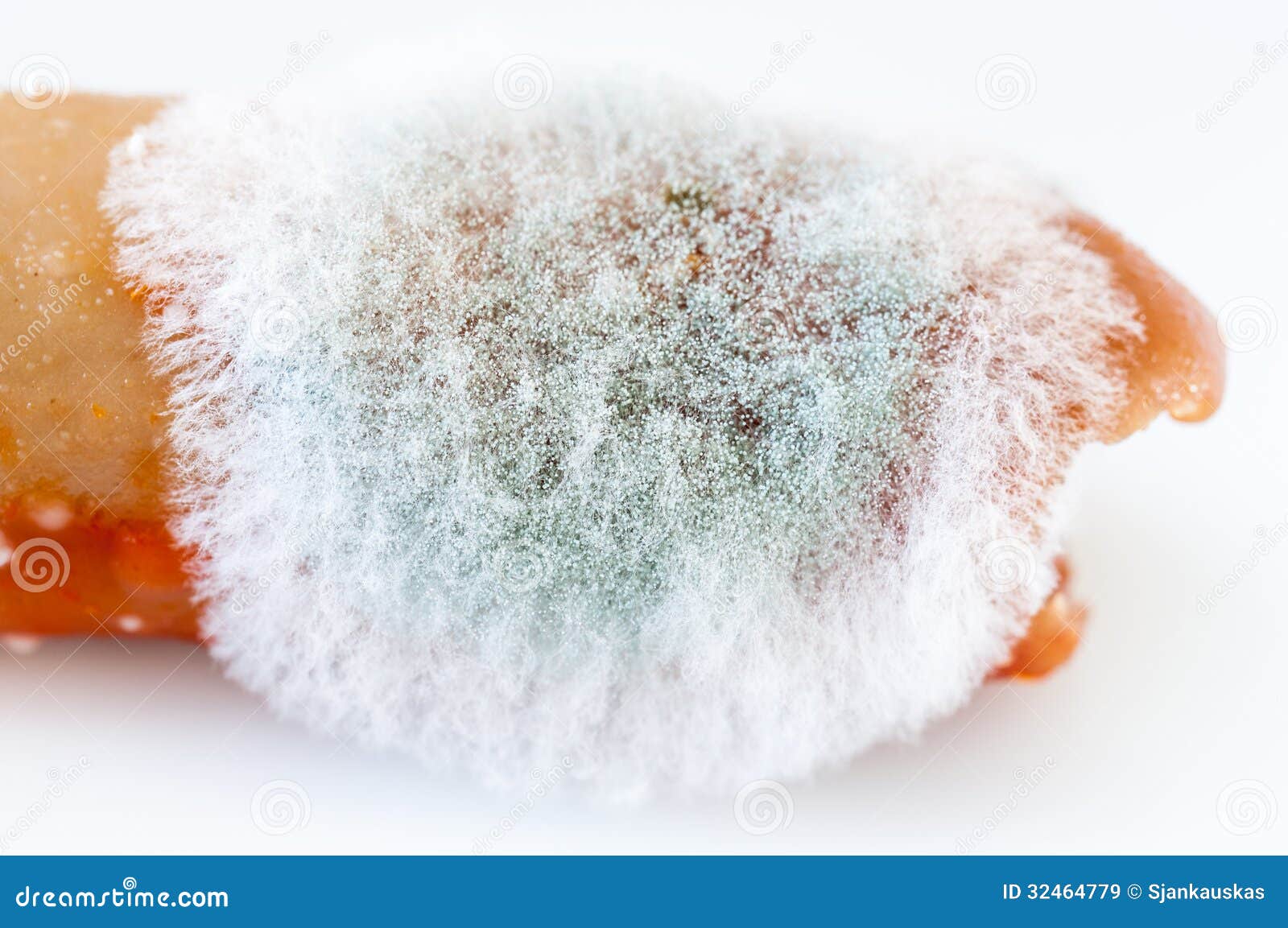 Mold on food stock image. Image of growing, background - 32464779