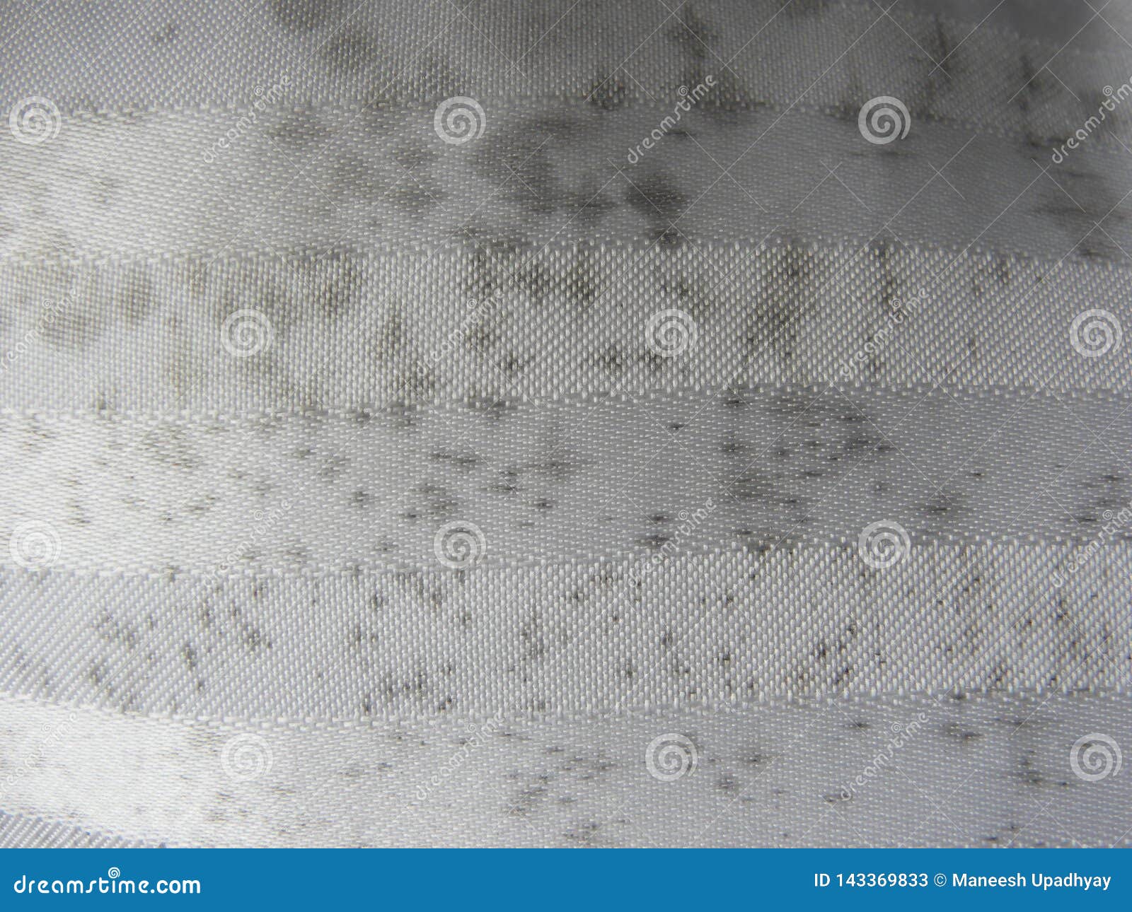 Mold formation stock image. Image of humidity, dirt - 143369833