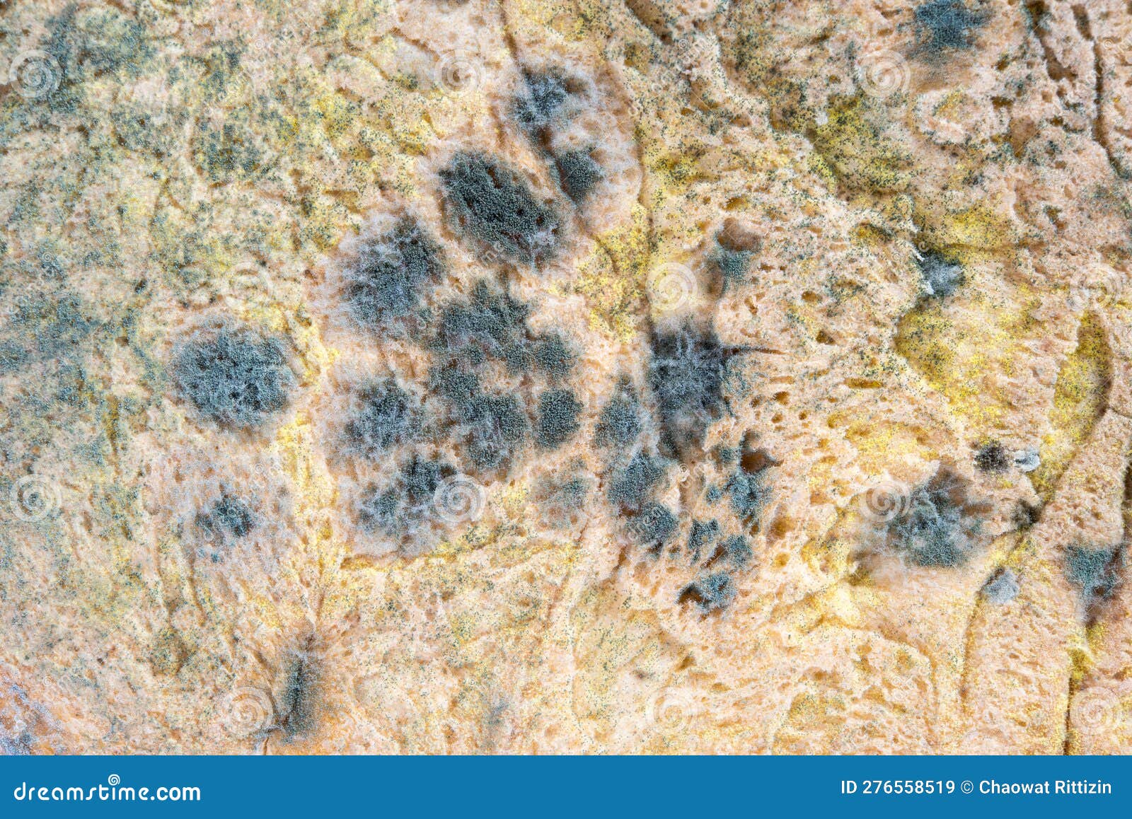 Mold Growing Old Bread Nobody Texture Background Stock Image - Image of ...
