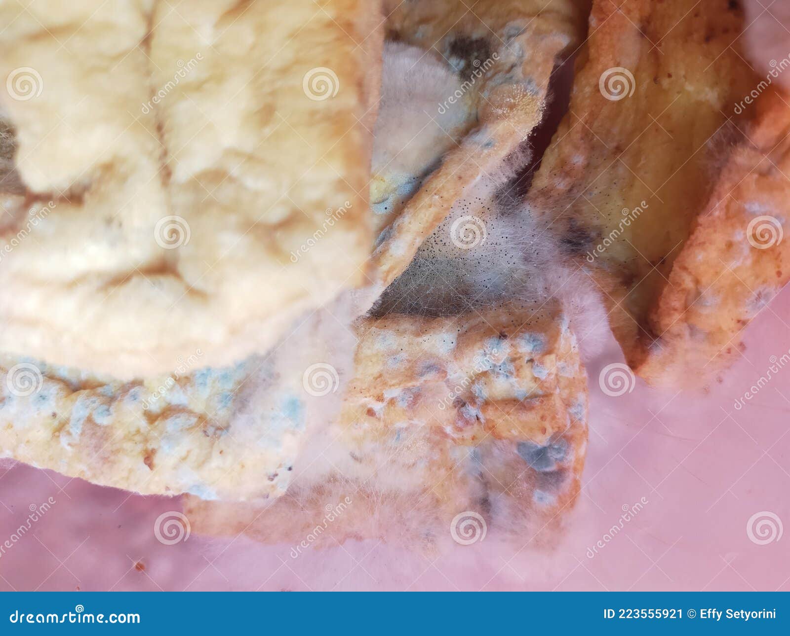 Mold that Grows on the Surface of Food Stock Image - Image of food ...