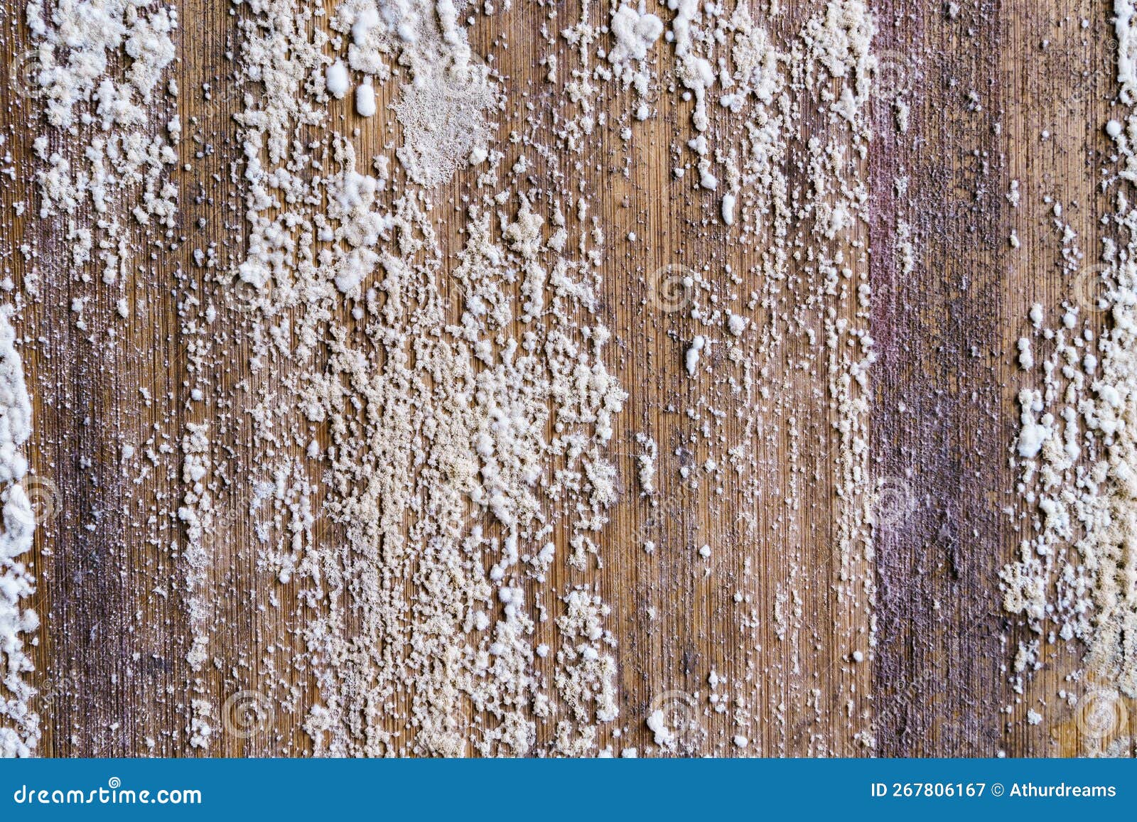 Mold Growth on Cutting Board Wood Close-Up Stock Image - Image of ...