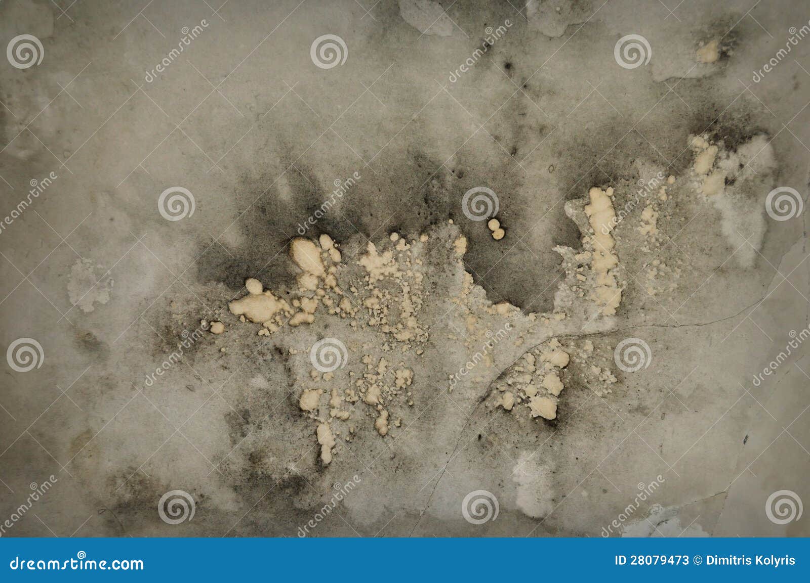 Mold grunge background stock image. Image of deteriorating - 28079473