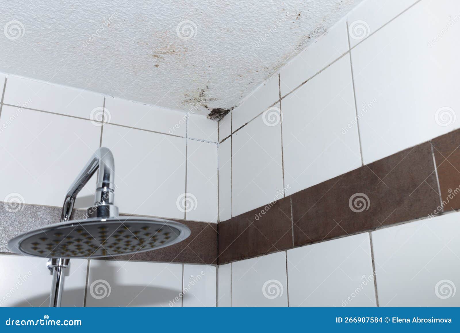 Mold in the House, Ceiling Moisture and Moist Wall in Bathroom Stock ...