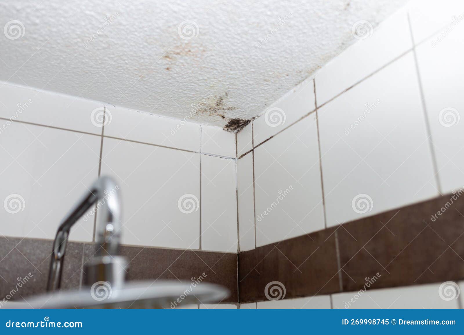 Mold House Ceiling Moisture. Simple, Modern Style, Moist Wall Stock ...