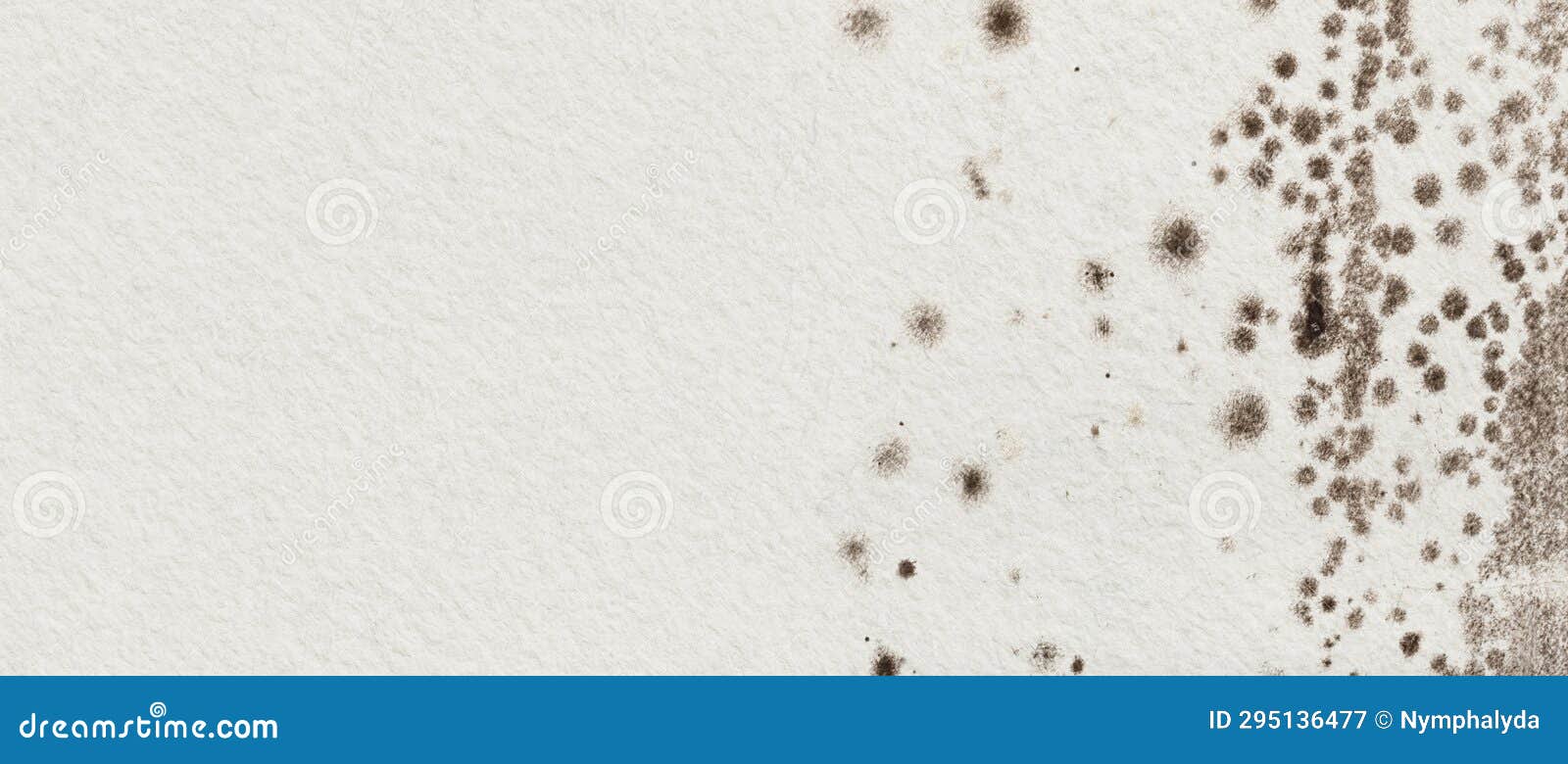 Mold Infested Wall, Banner, Background. Concept of the Problem of Mold ...