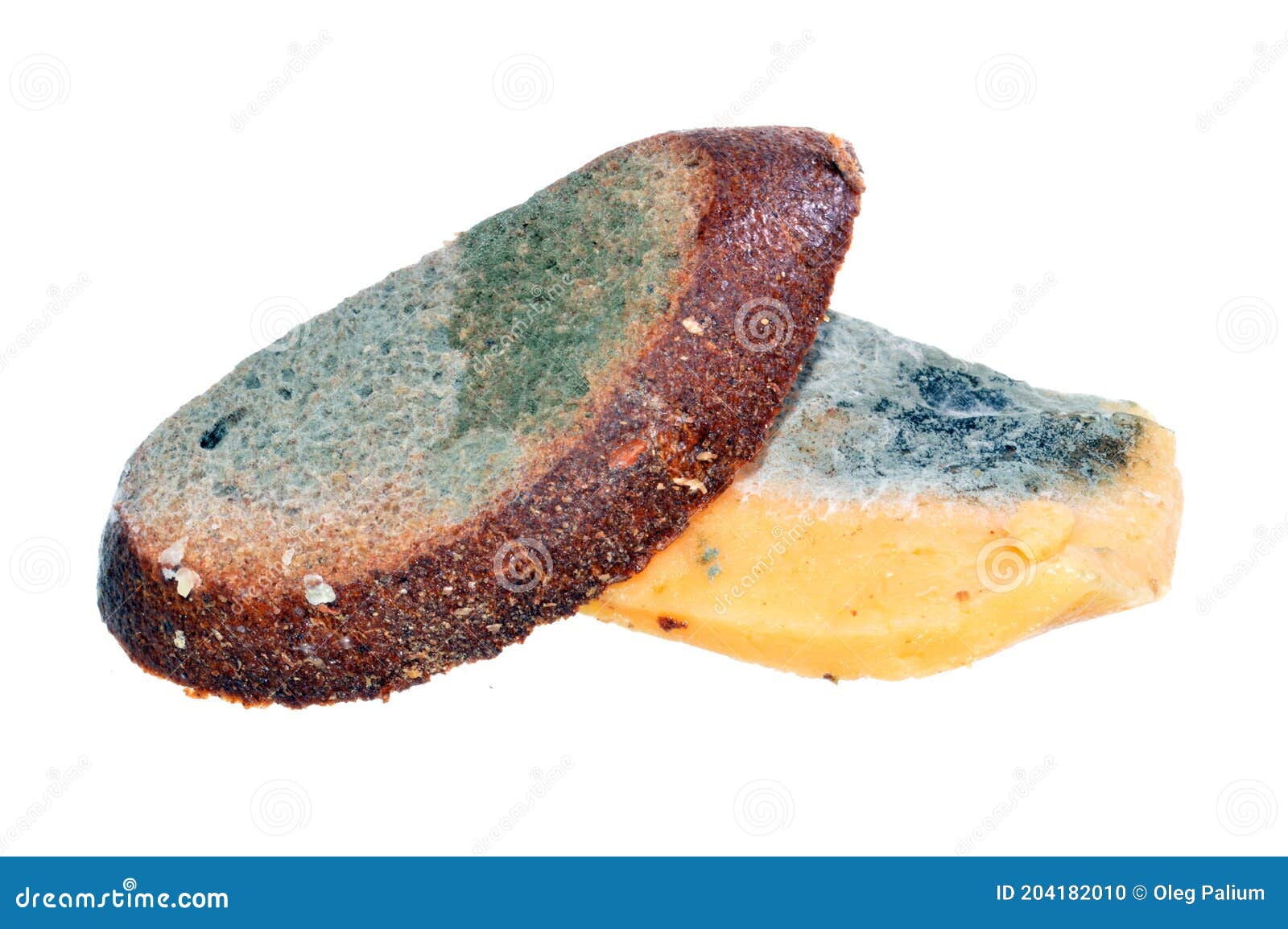 Mold Isolated on White Background Stock Photo - Image of black ...